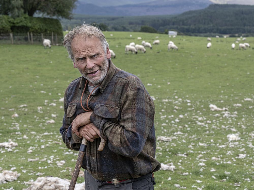 Neil Ross, Shepherd | Smithsonian Photo Contest | Smithsonian Magazine