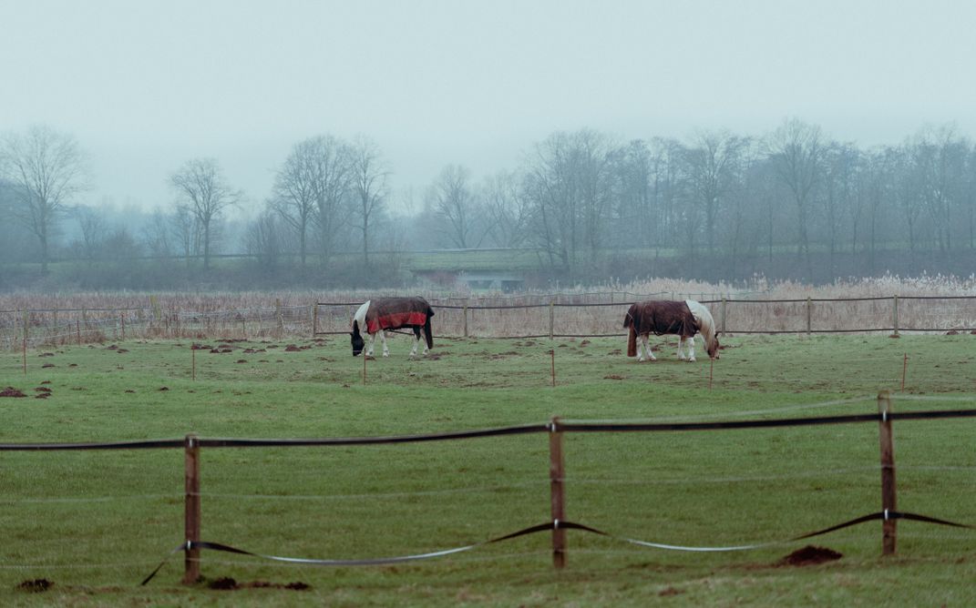Reverse Symmetry | Smithsonian Photo Contest | Smithsonian Magazine