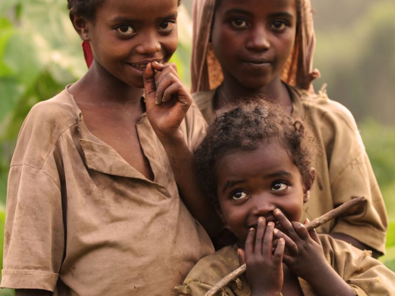 A few young observers who I met on a grassy hill in Dembidollo ...