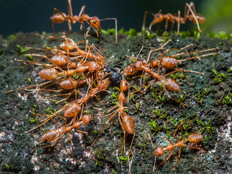 Unity of Nature | Smithsonian Photo Contest | Smithsonian Magazine