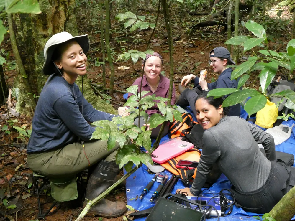 How Even the Smallest Organisms Can Shape Entire Ecosystems and Inspire ...