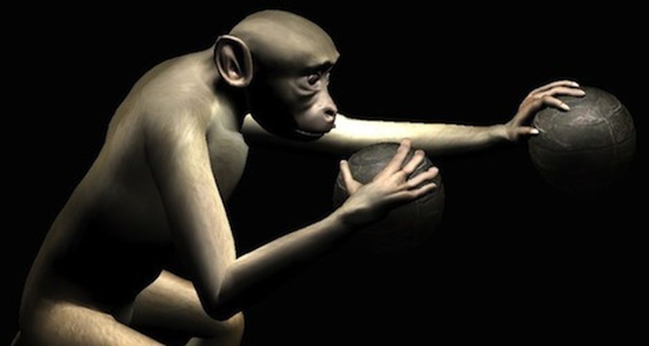 A New Interface Lets Monkeys Control Two Virtual Arms With Their Brain ...