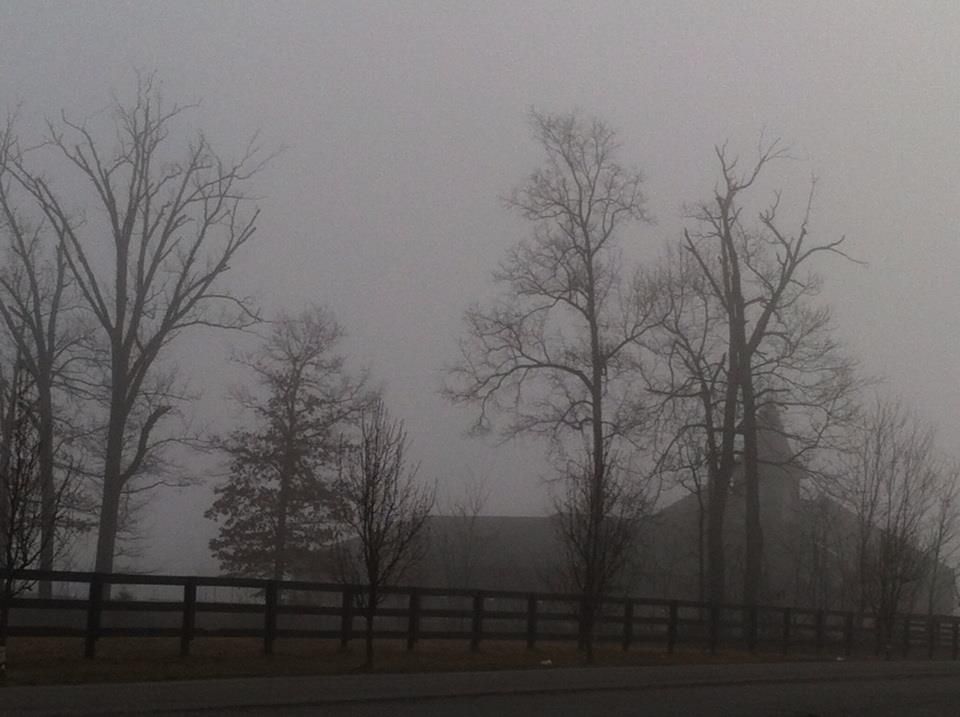 Foggy Spring Morning in Kentucky | Smithsonian Photo Contest ...