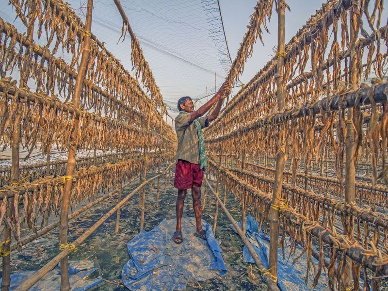 Fishing rack | Smithsonian Photo Contest | Smithsonian Magazine