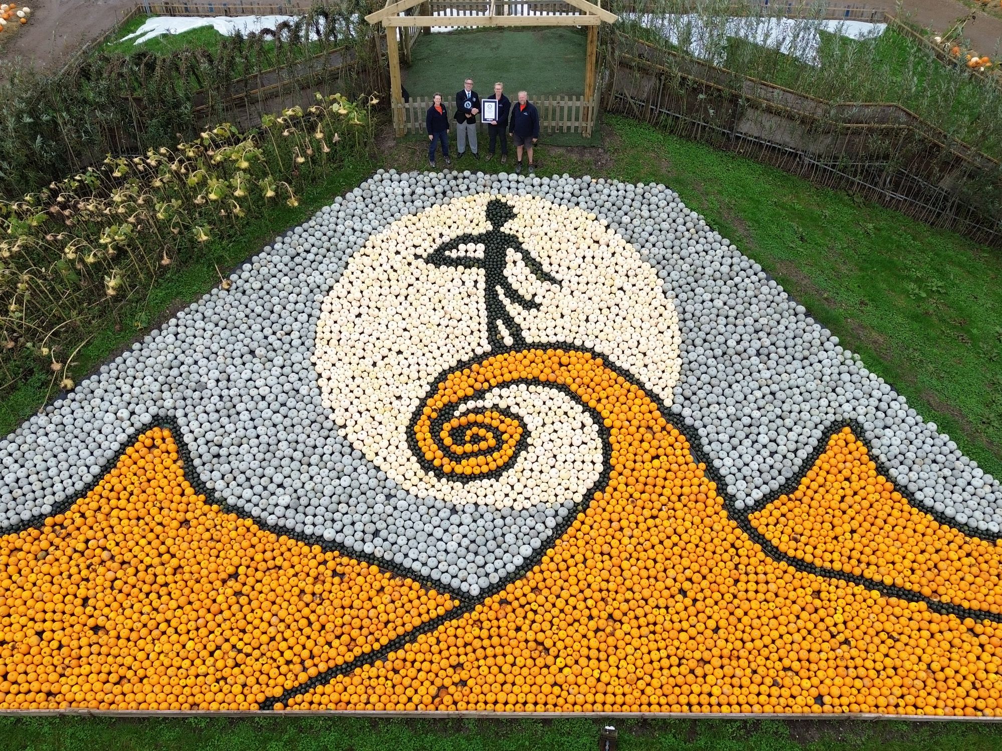 'Nightmare Before Christmas' Pumpkin Mosaic Sets World Record