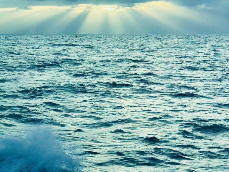 Peaceful Ocean | Smithsonian Photo Contest | Smithsonian Magazine