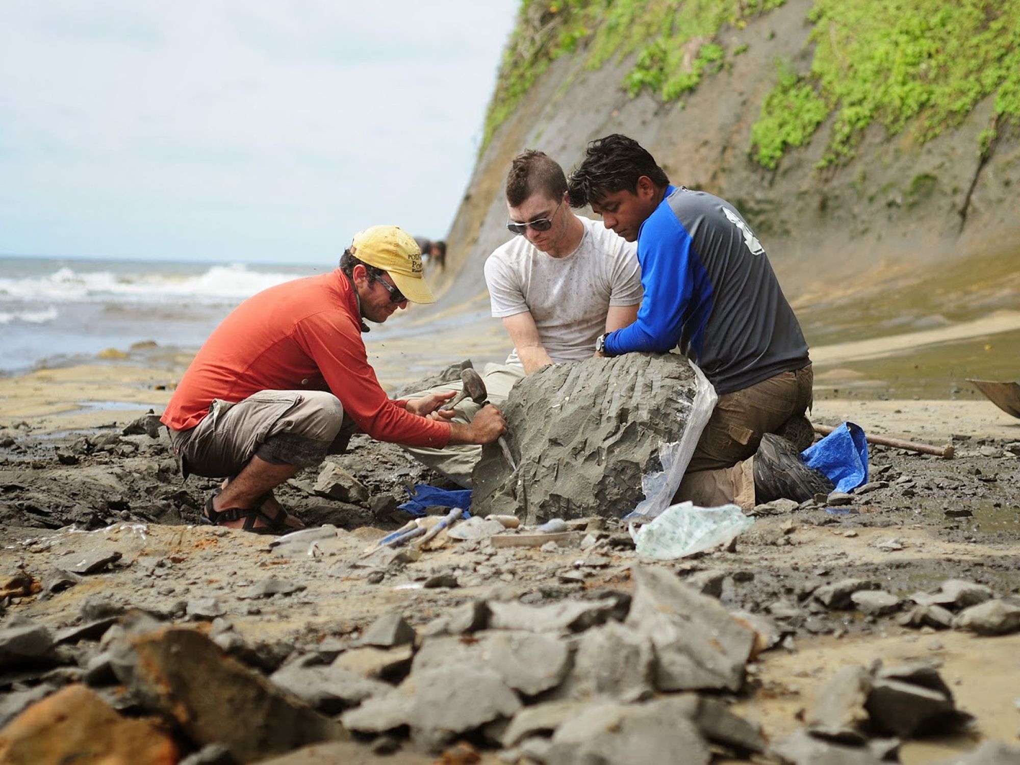 Marine Fossils Unearth Story About Panama’s Deep Past | Smithsonian ...