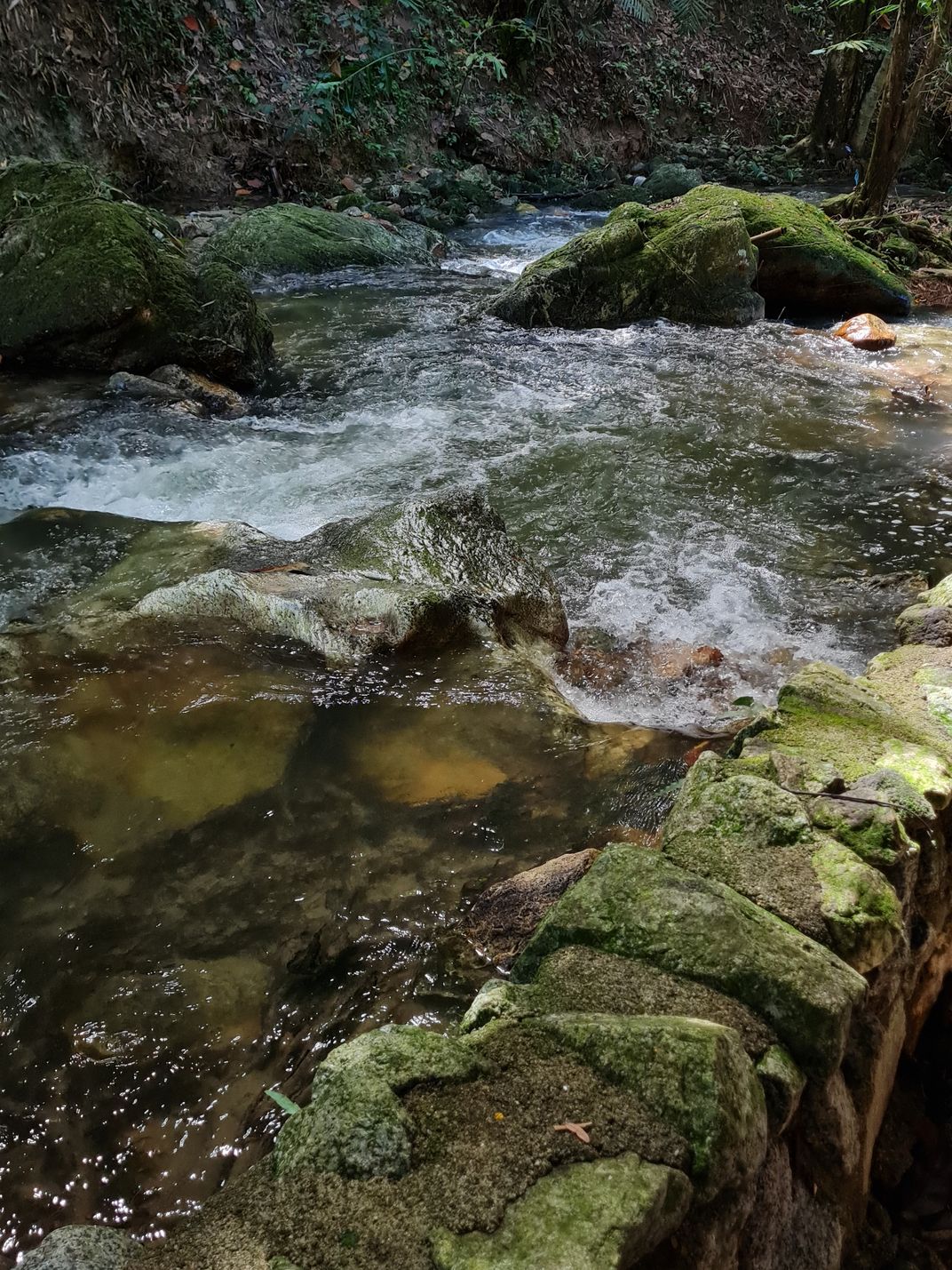 A stream with gushing waters | Smithsonian Photo Contest | Smithsonian ...