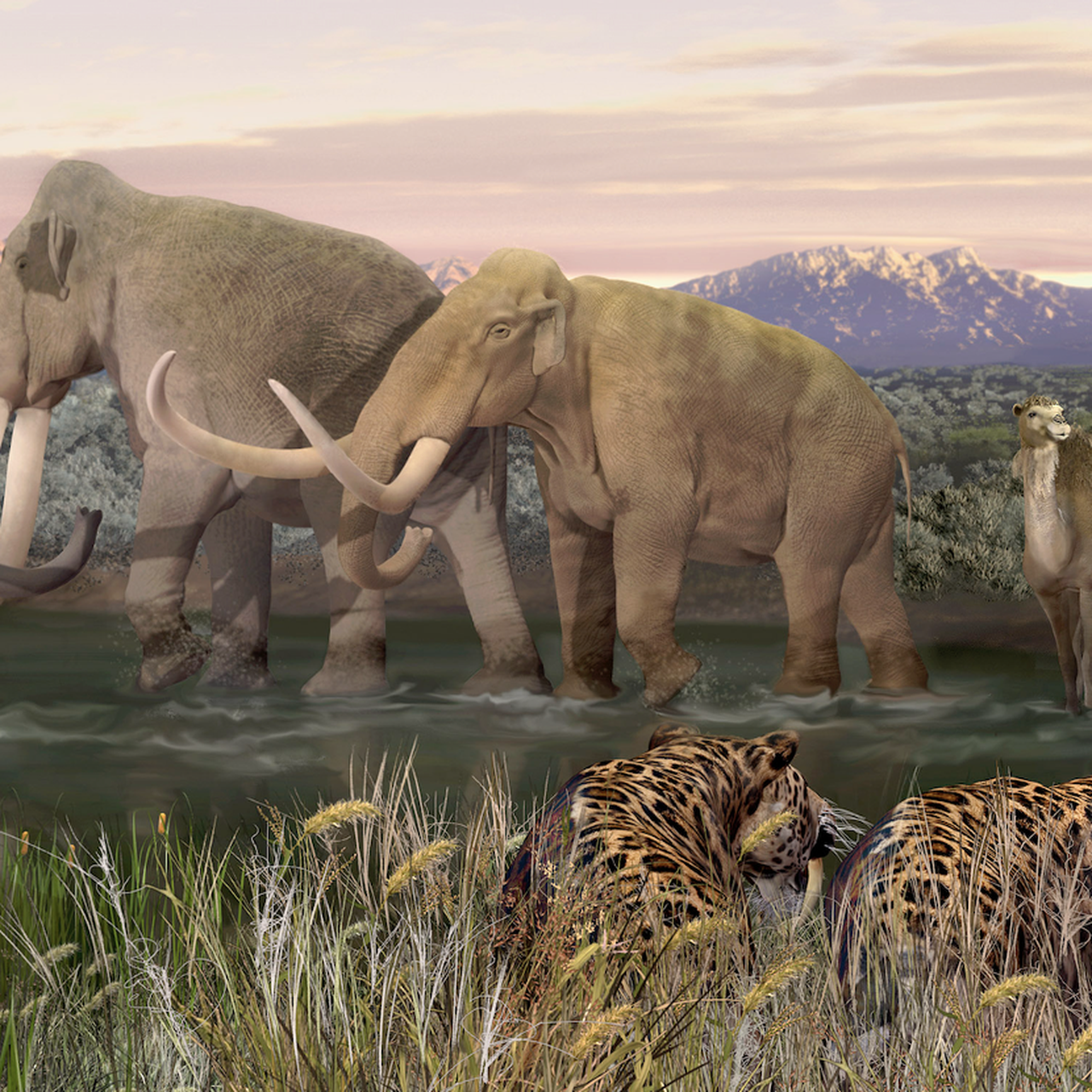 Pleistocene Megafauna List