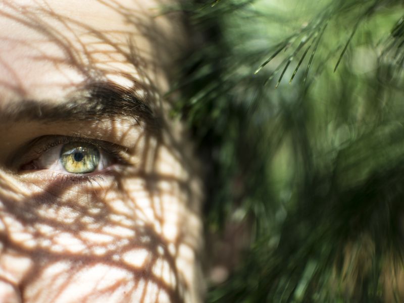 Green eyes, green pine | Smithsonian Photo Contest | Smithsonian Magazine