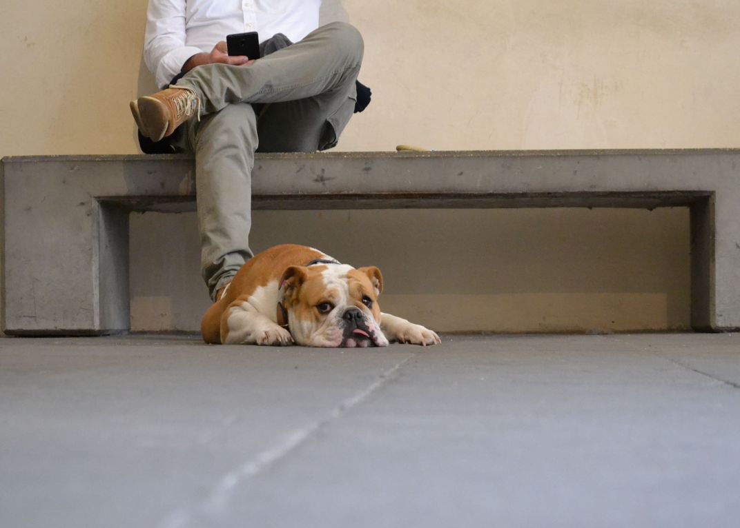 Sooo Tired! | Smithsonian Photo Contest | Smithsonian Magazine