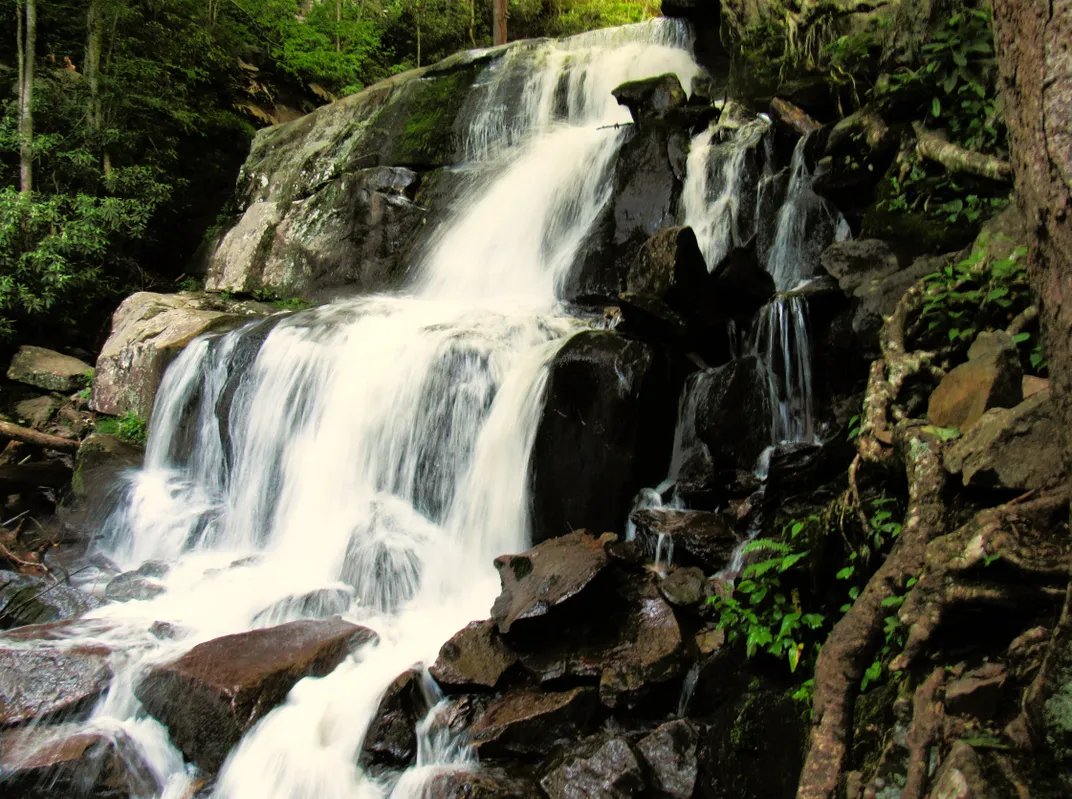A Waterfall in the Smokey Mountains | Smithsonian Photo Contest ...