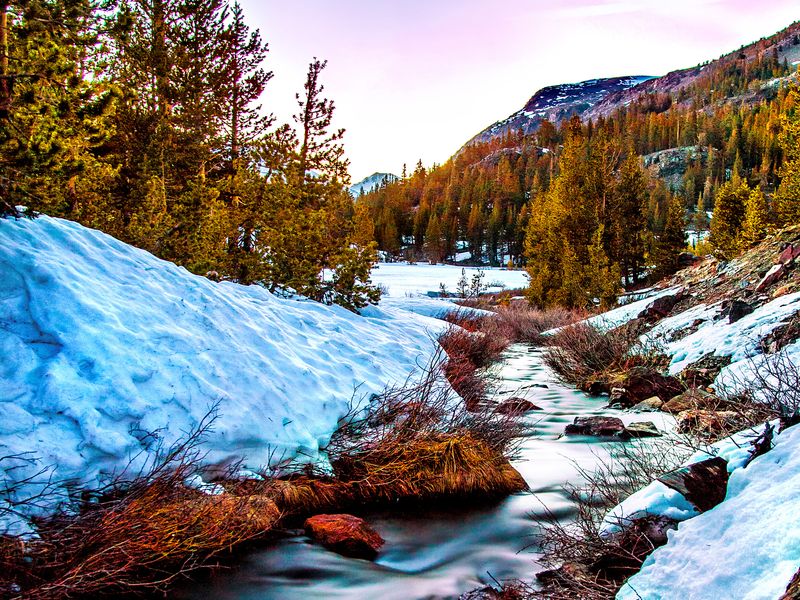 Snow Paradise | Smithsonian Photo Contest | Smithsonian Magazine
