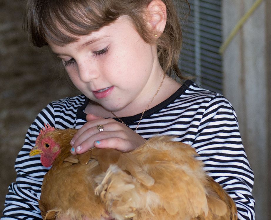 My daughter intensely petting a chicken | Smithsonian Photo Contest ...