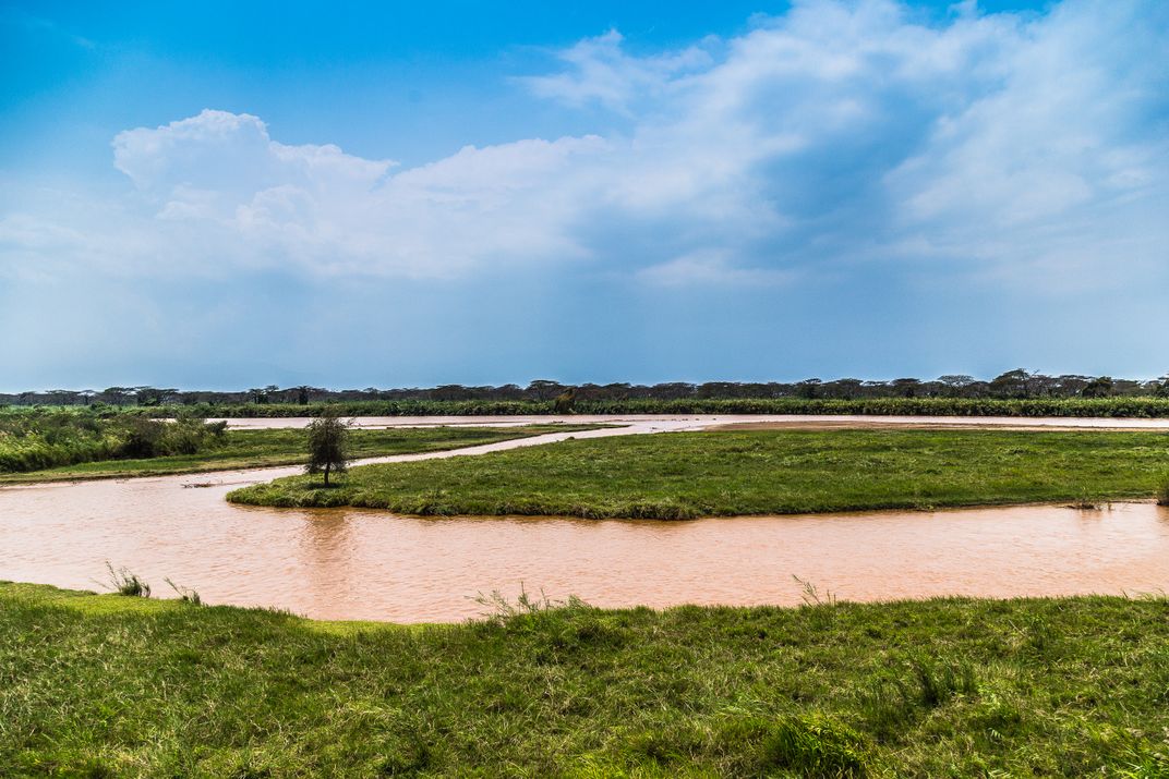 Le "z" de la Rusizi | Smithsonian Photo Contest | Smithsonian Magazine