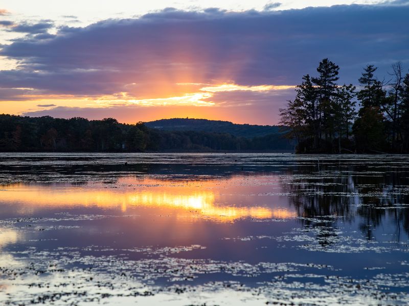 Pond Sky | Smithsonian Photo Contest | Smithsonian Magazine