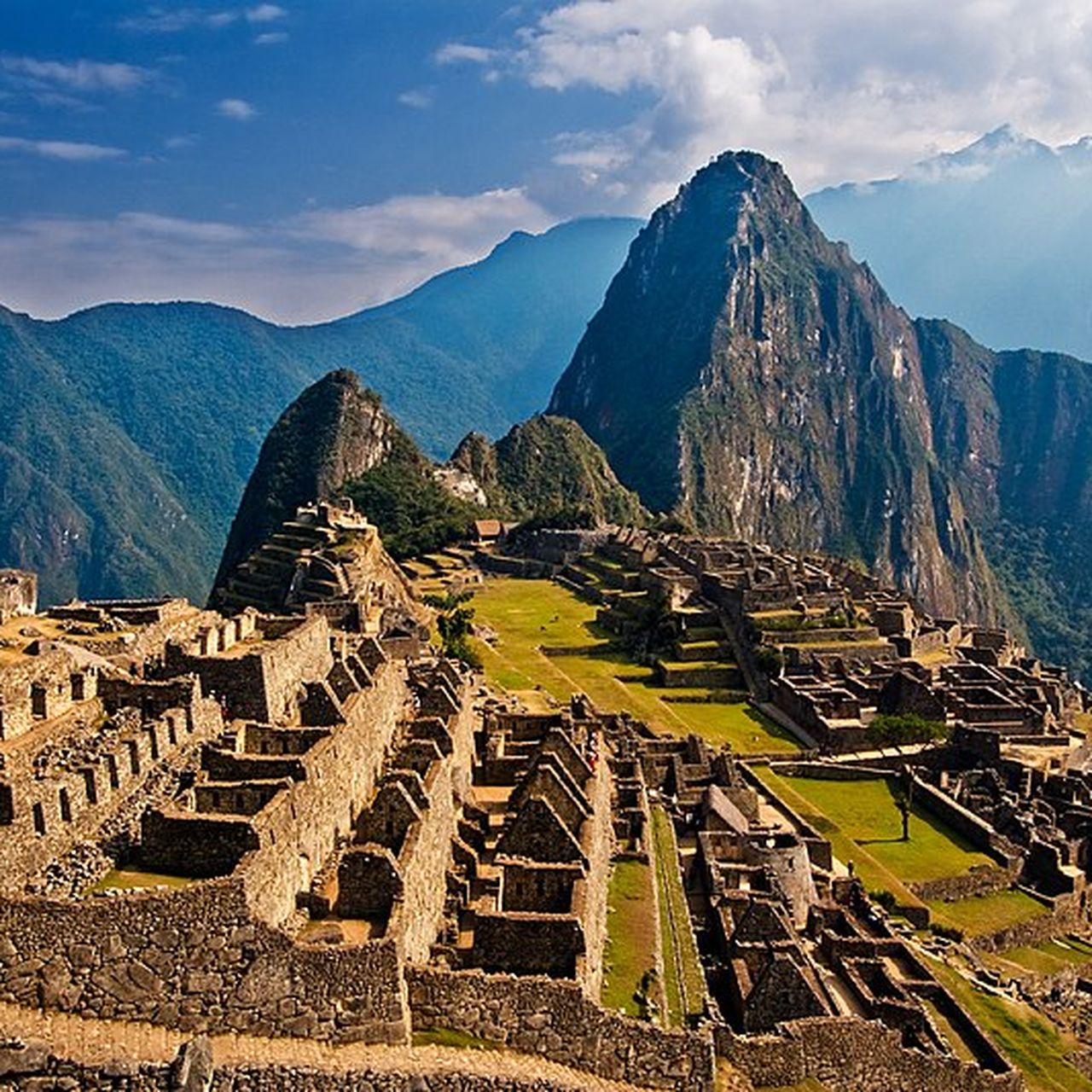 Inca Royals