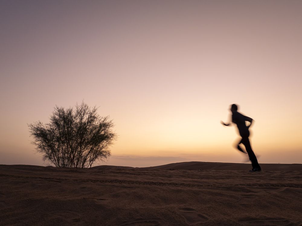 Pay homage to the Tree of Life | Smithsonian Photo Contest ...