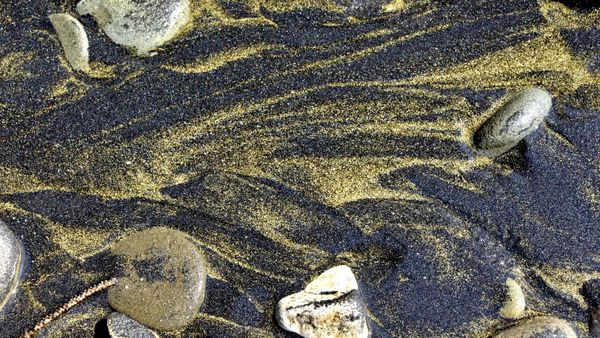 Natural World | Smithsonian Photo Contest | Smithsonian Magazine