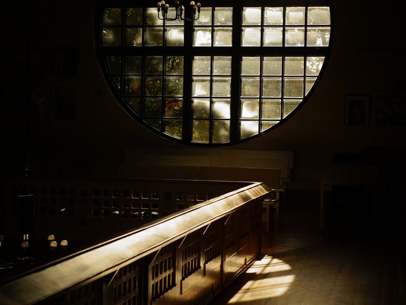 Midday light | Smithsonian Photo Contest | Smithsonian Magazine