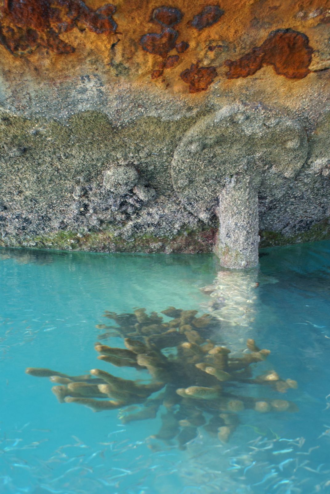 Bermuda Wreck | Smithsonian Photo Contest | Smithsonian Magazine