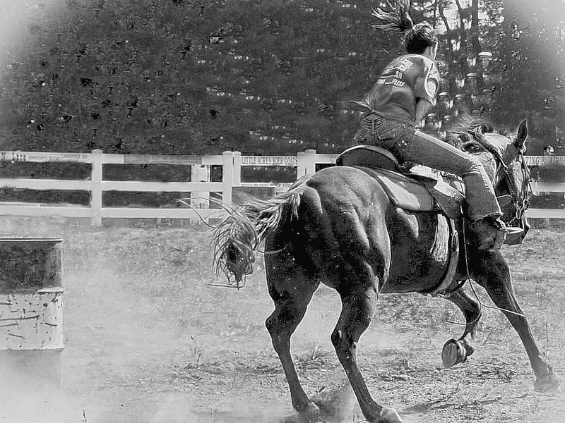 Barrel Racing Youth | Smithsonian Photo Contest | Smithsonian Magazine
