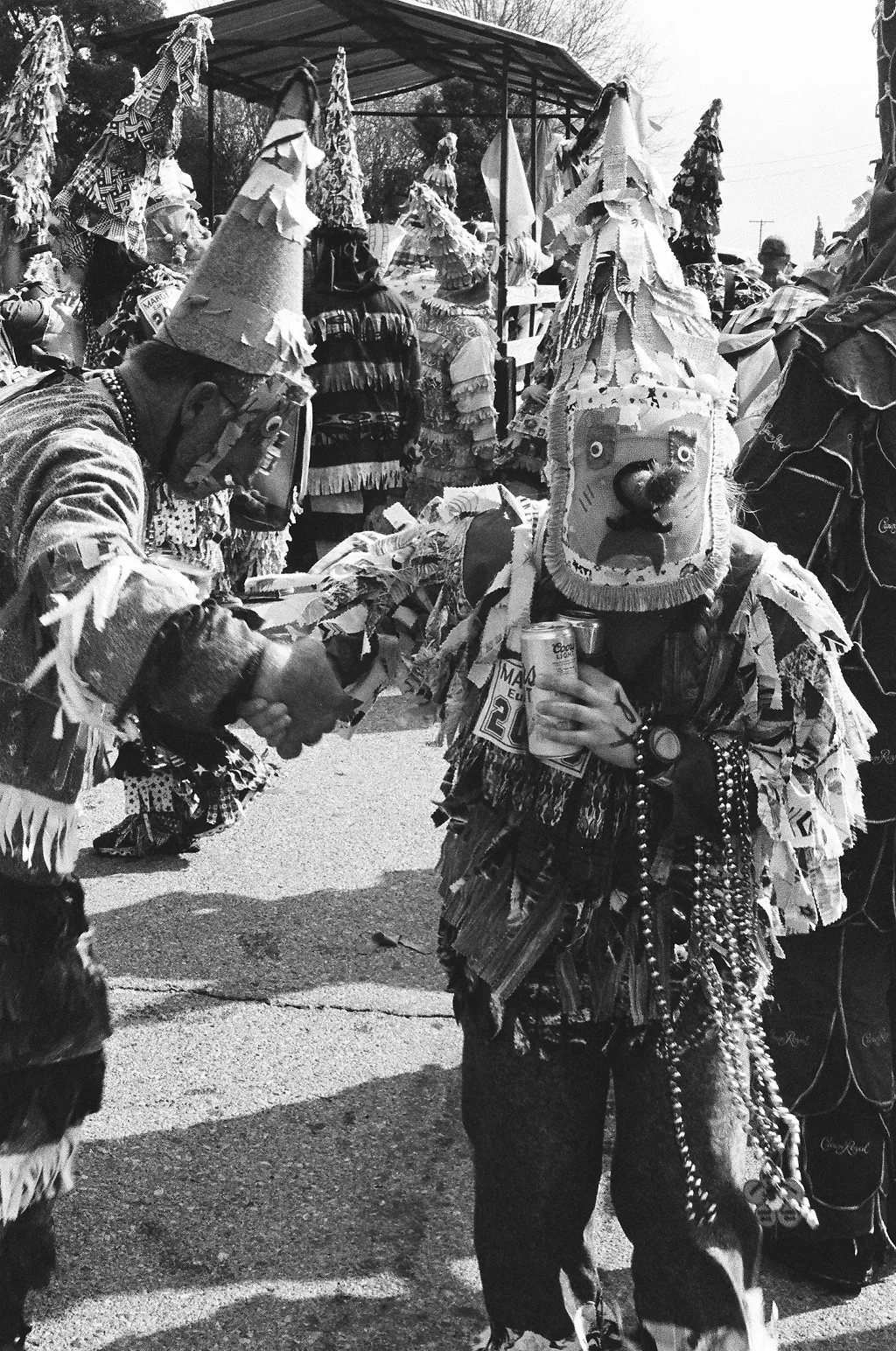 Dancing Cajun Courir de Mardi Gras revelers | Smithsonian Photo Contest ...