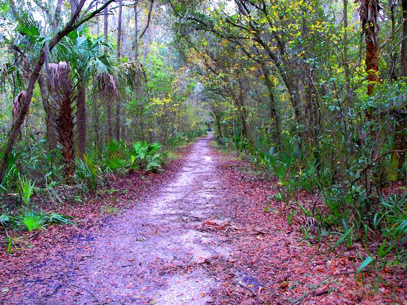Walking down the path | Smithsonian Photo Contest | Smithsonian Magazine