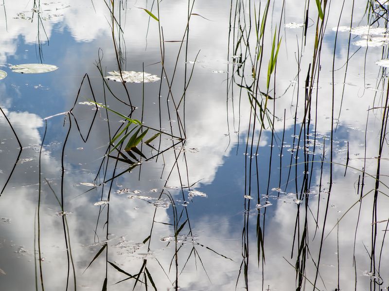 lake Abstract | Smithsonian Photo Contest | Smithsonian Magazine