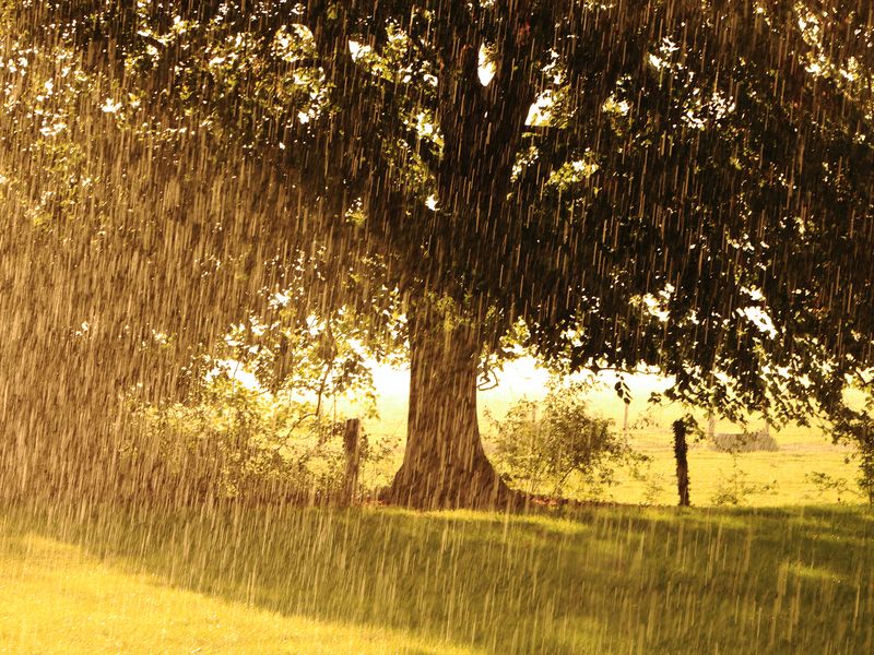 Stormy rain in the countryside | Smithsonian Photo Contest ...