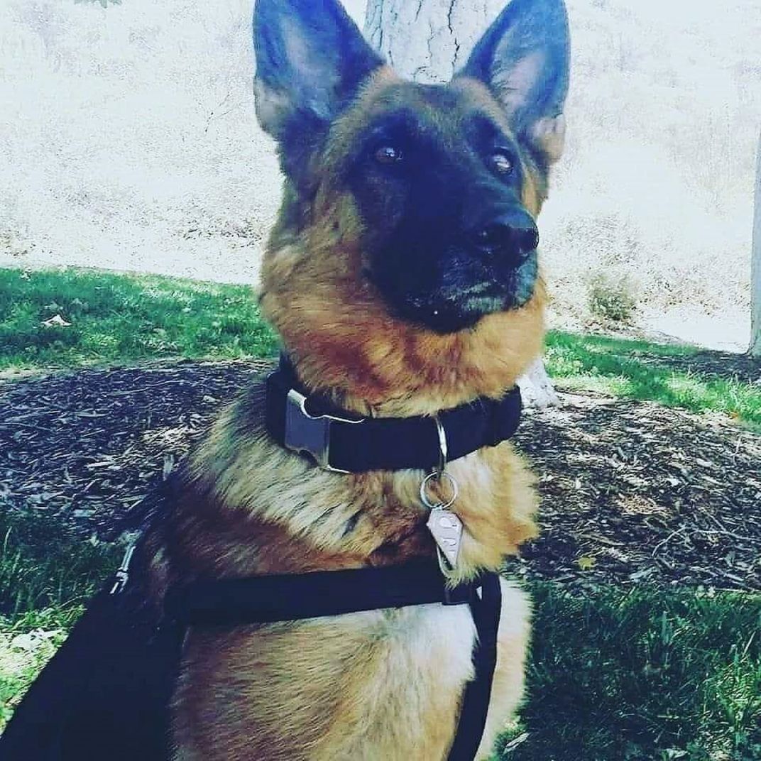 Protector, Friend, Family... | Smithsonian Photo Contest | Smithsonian ...