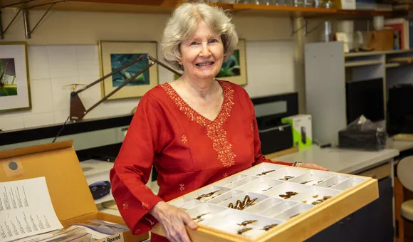 Smithsonian Tropical Research Institute Blog | Smithsonian Magazine