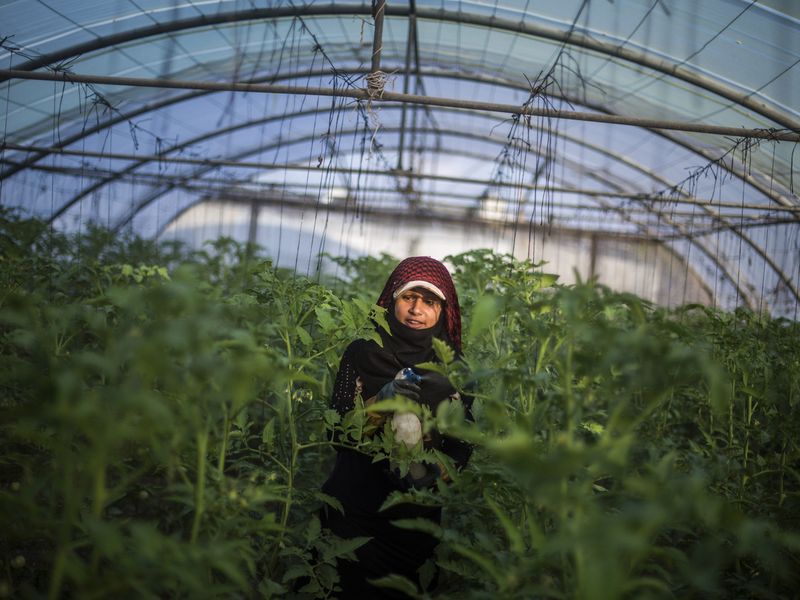 forced workers | Smithsonian Photo Contest | Smithsonian Magazine