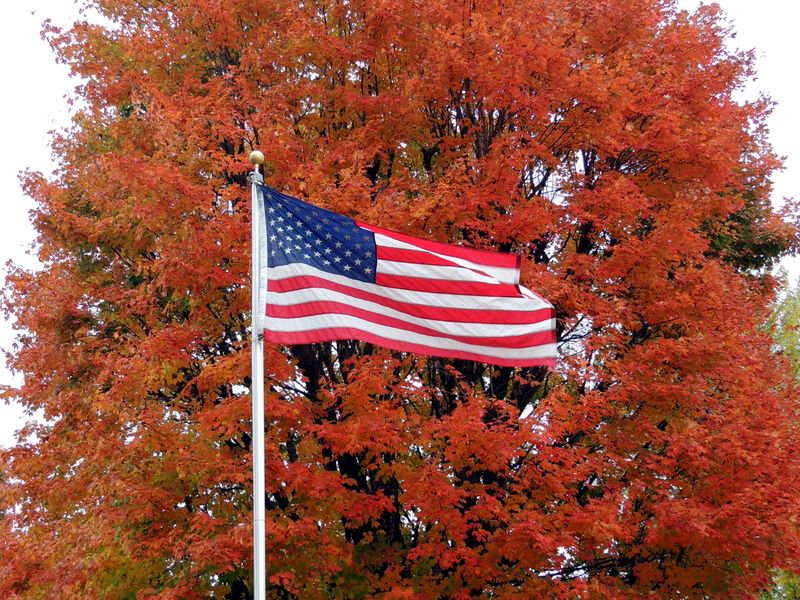 Our Patriotic and Fall Colors | Smithsonian Photo Contest | Smithsonian ...