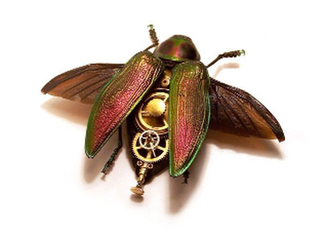 Geared Grasshoppers: Q and A with Craft Fair Artist Mike Libby