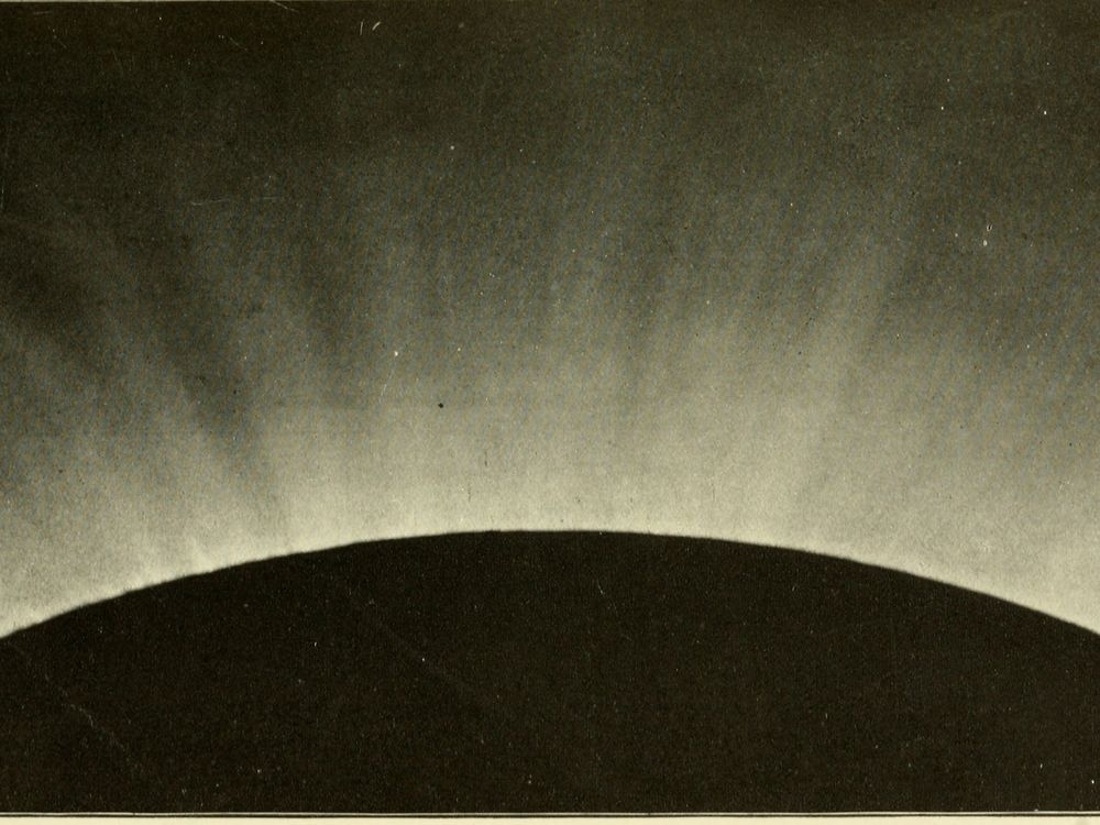 When the Moon Obscures the Sun, How Does Life on Earth Respond ...