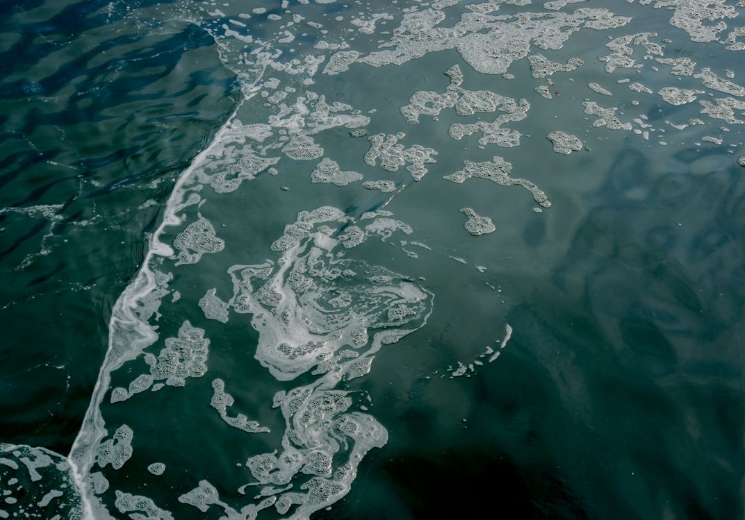 Bubbles or a coastline via satellite? | Smithsonian Photo Contest ...