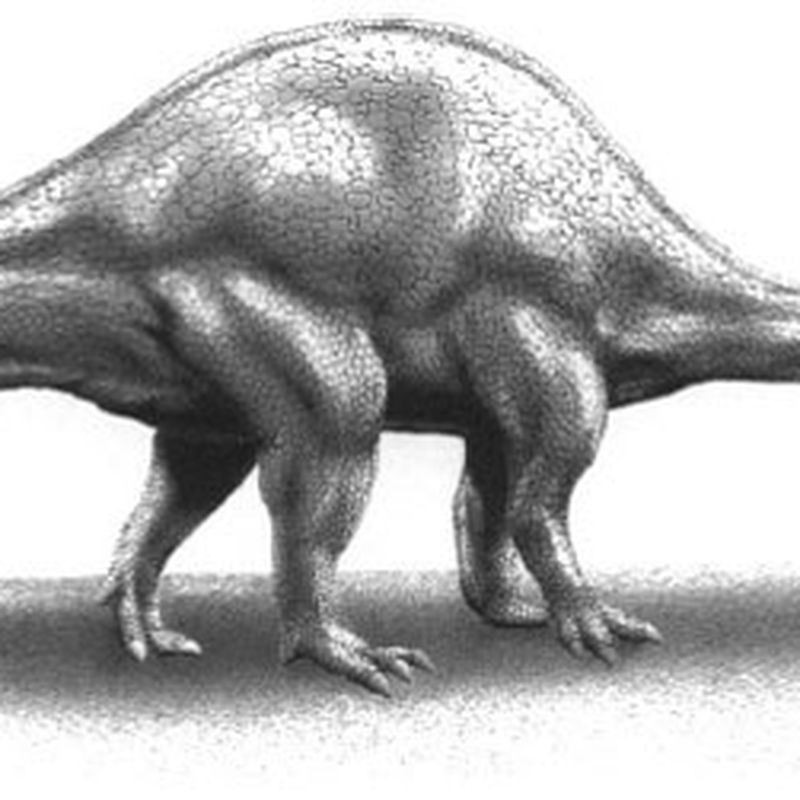 Dinosaures Spinosaurus