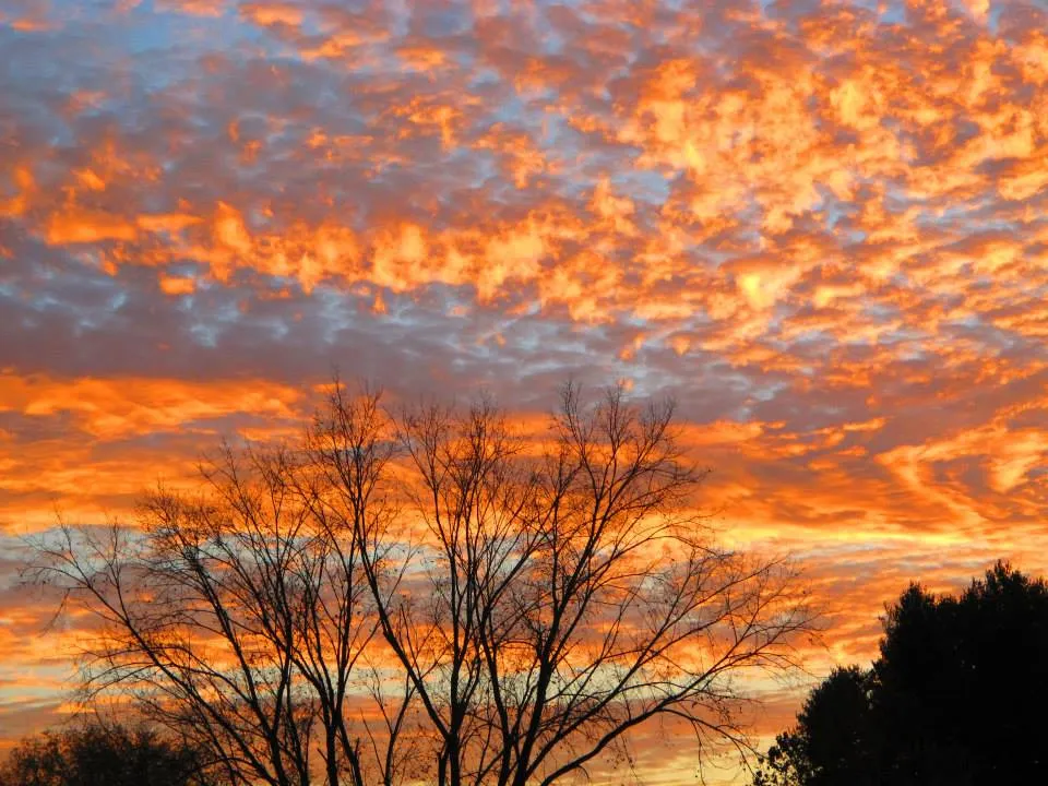 Sunset, beautiful clouds and a sliver of the moon | Smithsonian Photo ...