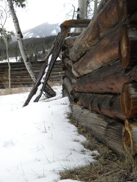 Historic log cabin ruin in Silverthorne, CO. | Smithsonian Photo ...