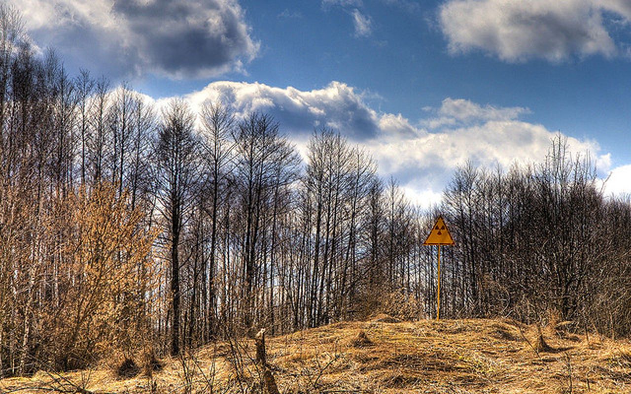 27 Years Later, Radiation Still Hides Out in Chernobyl’s Trees ...