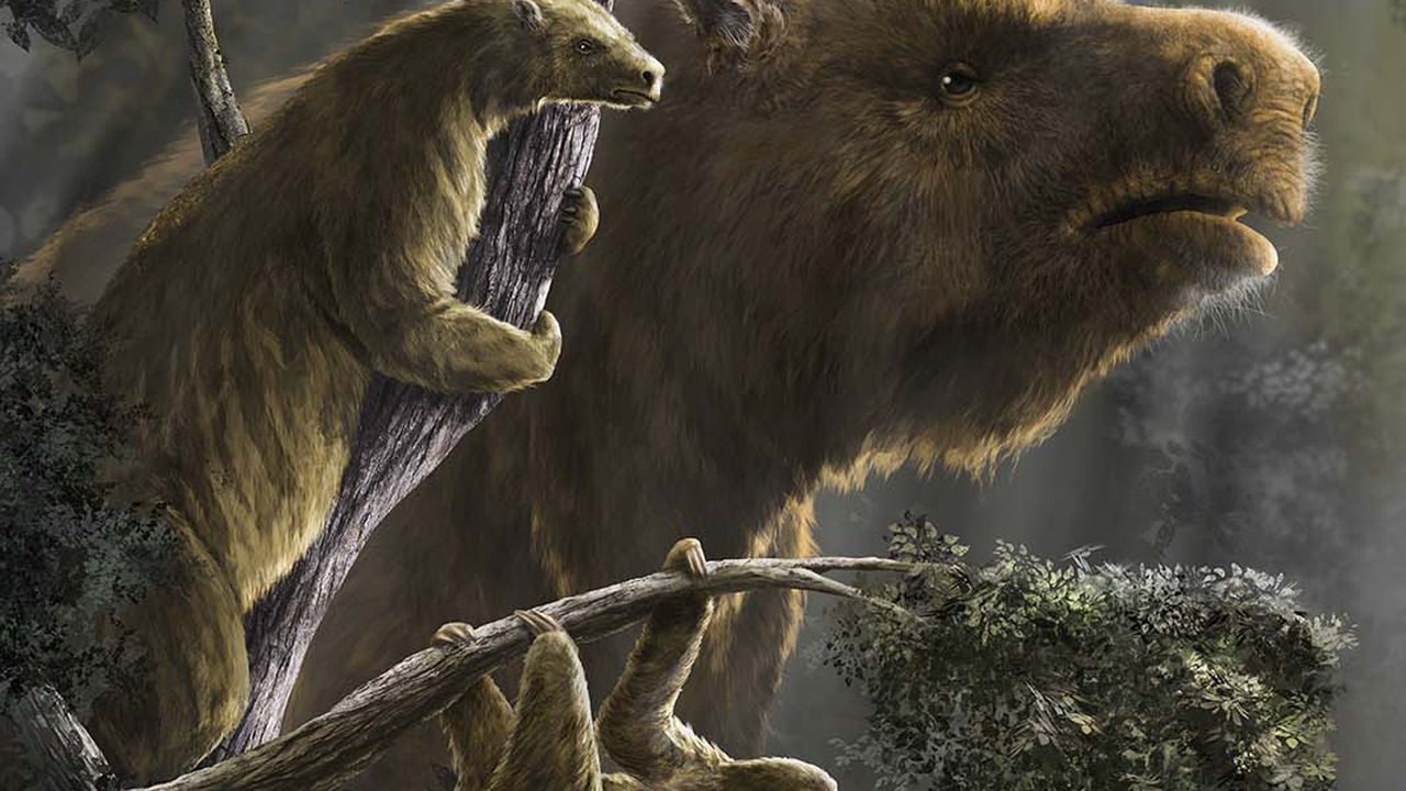 prehistoric bear sloth