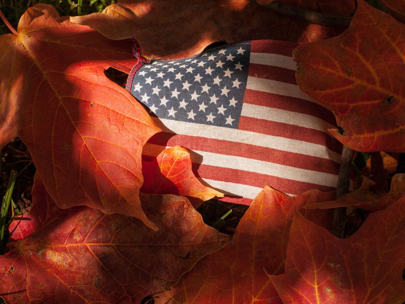 The United States flag, partly covered by red maple leaves ...