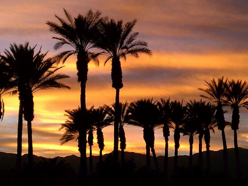 Gorgeous sunset in Palm Desert, California | Smithsonian Photo Contest ...