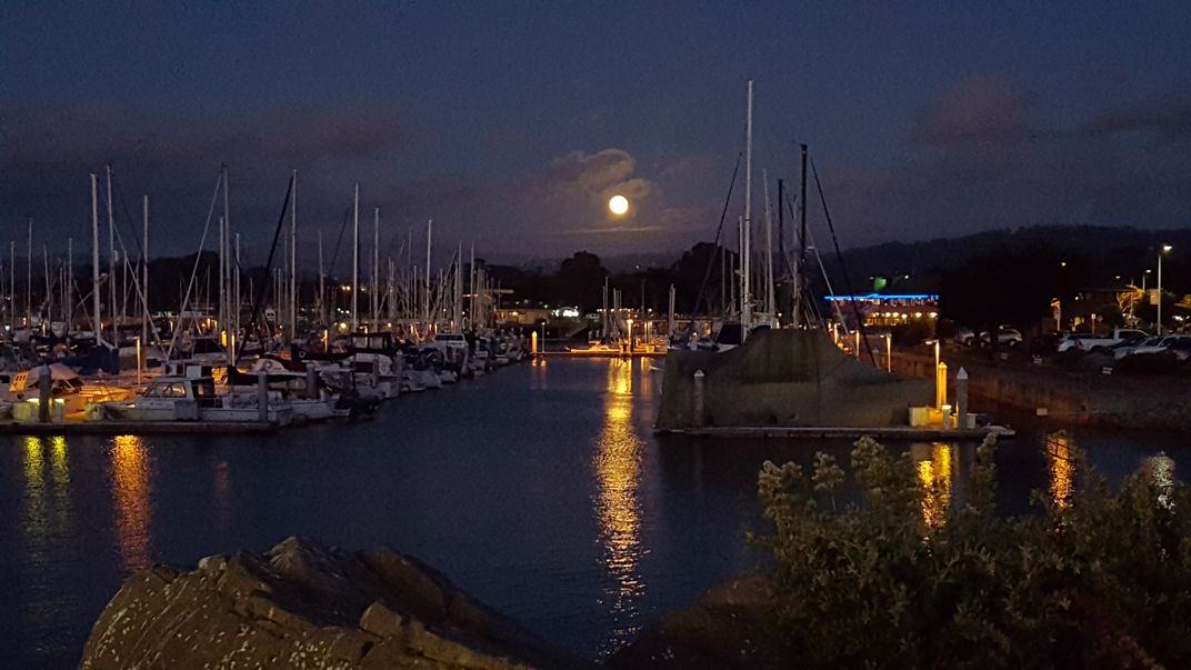 Moonrise over Monterey Marina | Smithsonian Photo Contest | Smithsonian ...