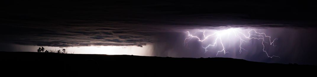 Plants and Lightning | Smithsonian Photo Contest | Smithsonian Magazine