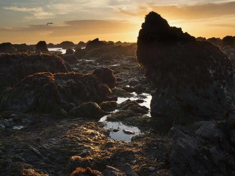 Red Coast | Smithsonian Photo Contest | Smithsonian Magazine