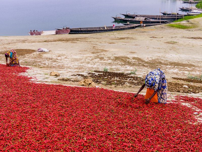 Red chilli field | Smithsonian Photo Contest | Smithsonian Magazine