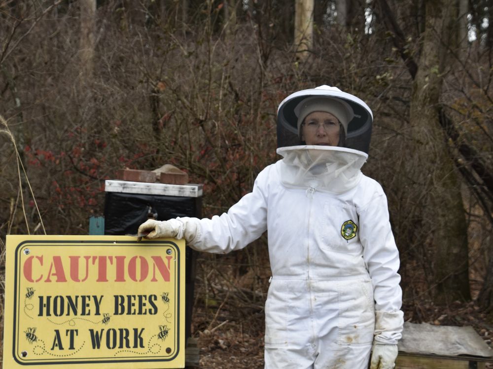 Sharon Zondag - Life Long Bee Keeper | Smithsonian Photo Contest ...