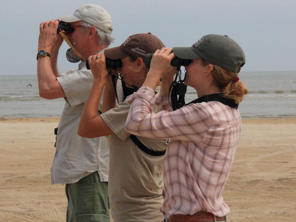 Thirty-Seven Warblers in a Hundred Days